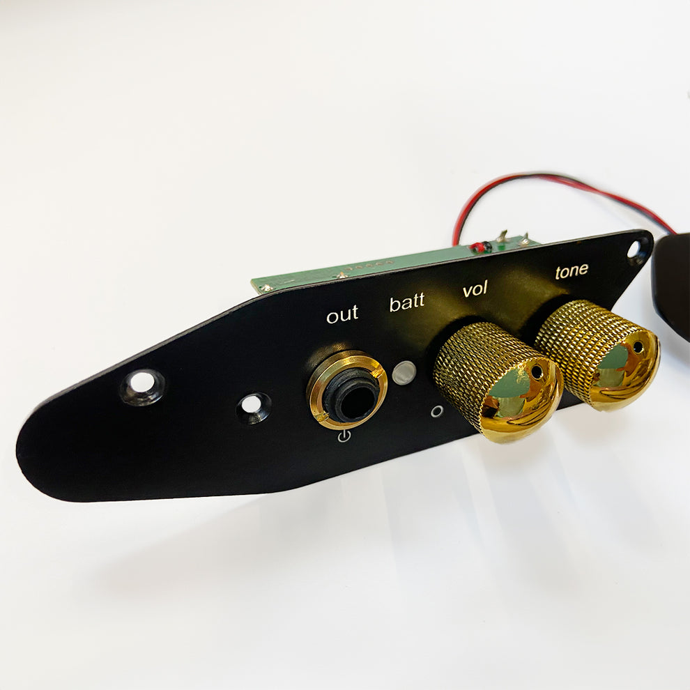 Delta pre-amp unit – Harp-E