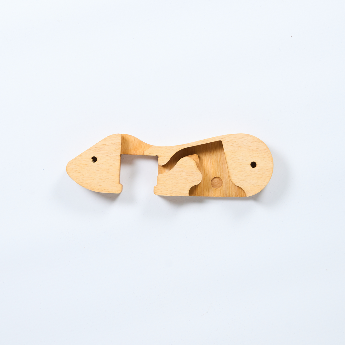 Housing for Pre-amp & battery – Harp-E